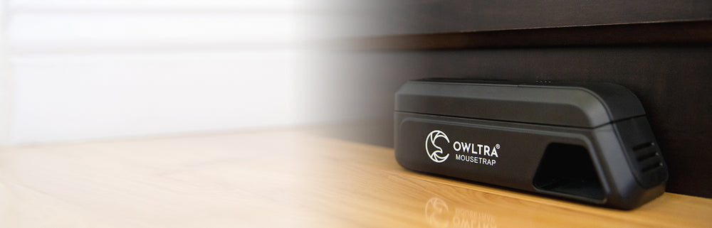 OWLTRA OW2 Indoor Escape-proof Electronic Mouse Trap
